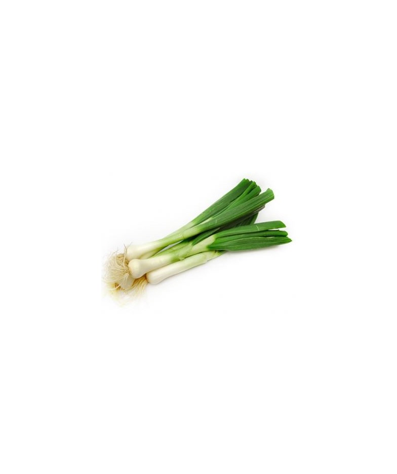 Comprar ONLINE Cebolleta Japonesa 90g - Asian Origins